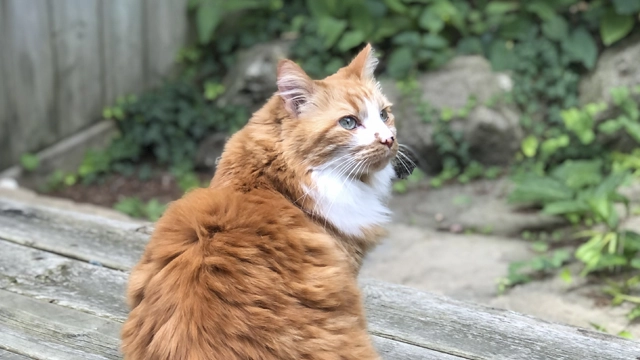 First Aid Tips from the Canadian Red Cross - Canadian Red Cross